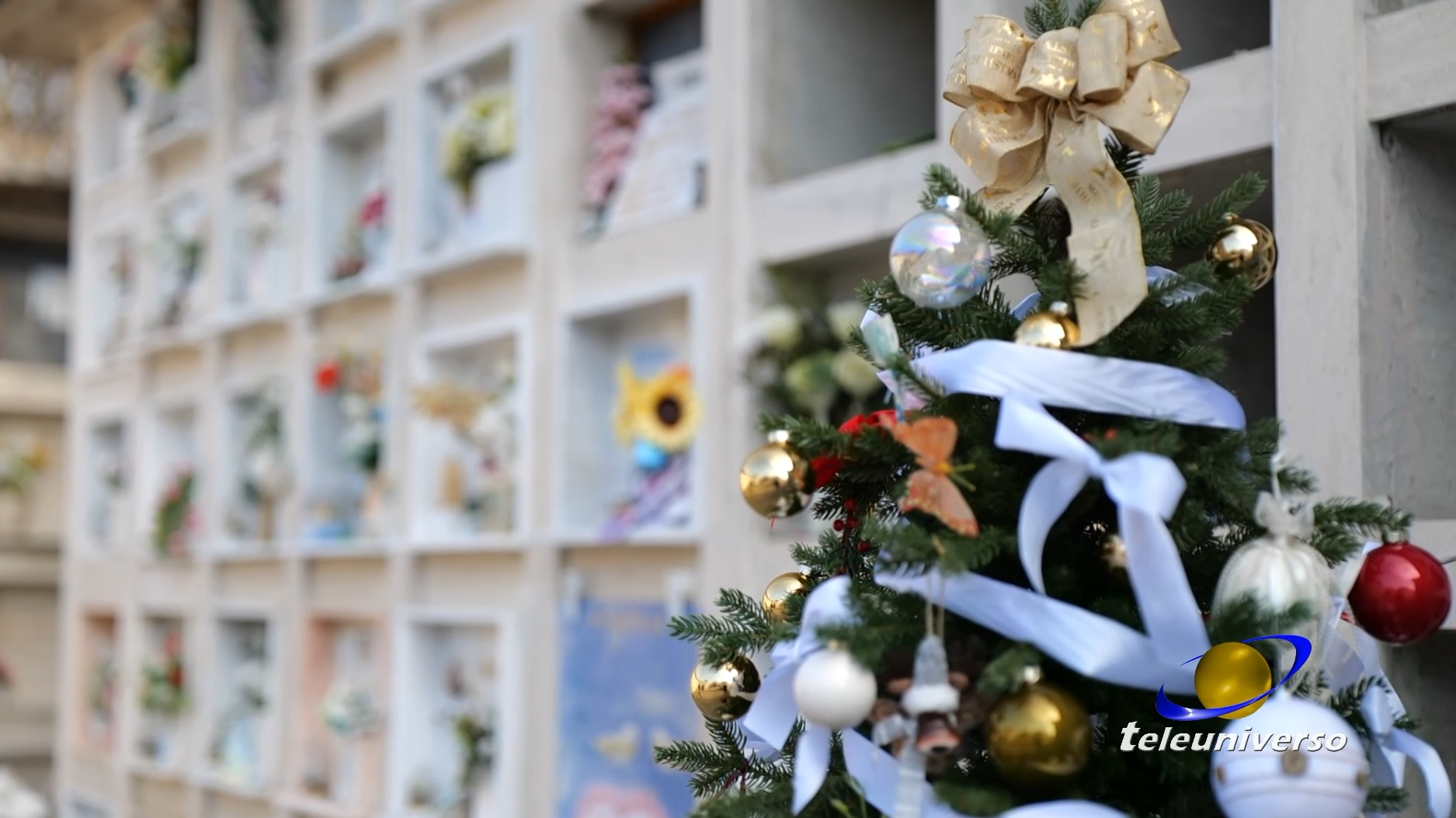 CASSINO: Albero di Natale al cimitero - Teleuniverso