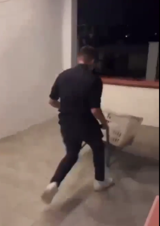 Anagni - Capretta uccisa, la difesa del 17enne fiuggino: «Stop alla ...